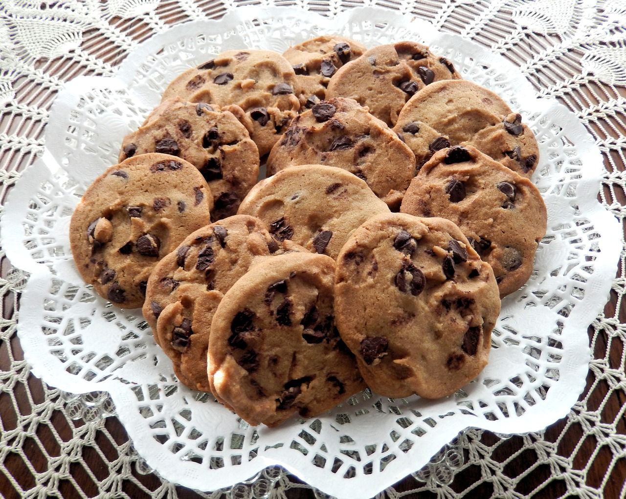 Grace's Choc-Chip Cookies | News | Robertson Scannell